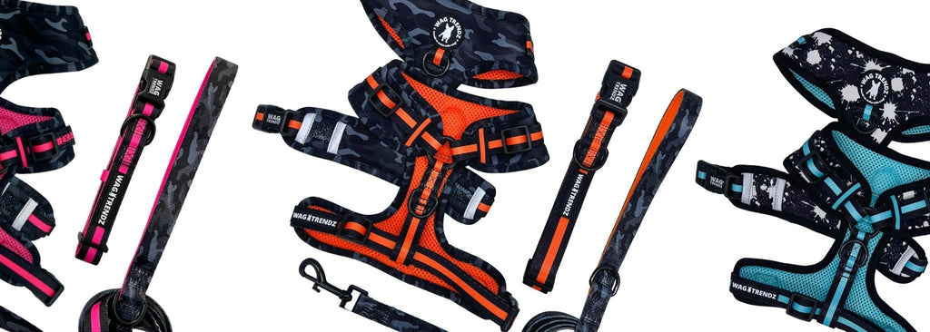 Wag Trendz® | Cool Dog Harnesses, Collars, Leashes & Hoodies